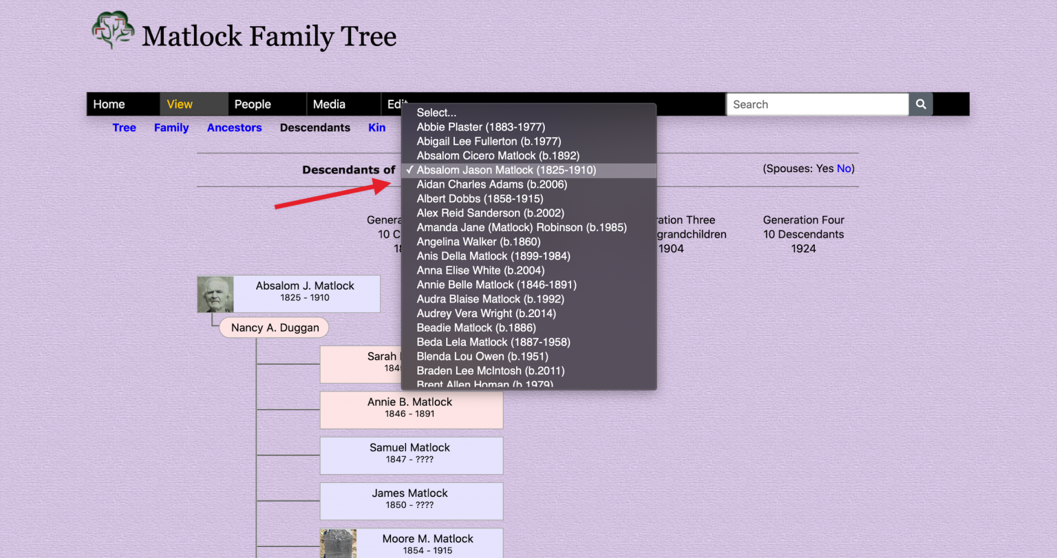 Lineage - Matlock Family Reunion